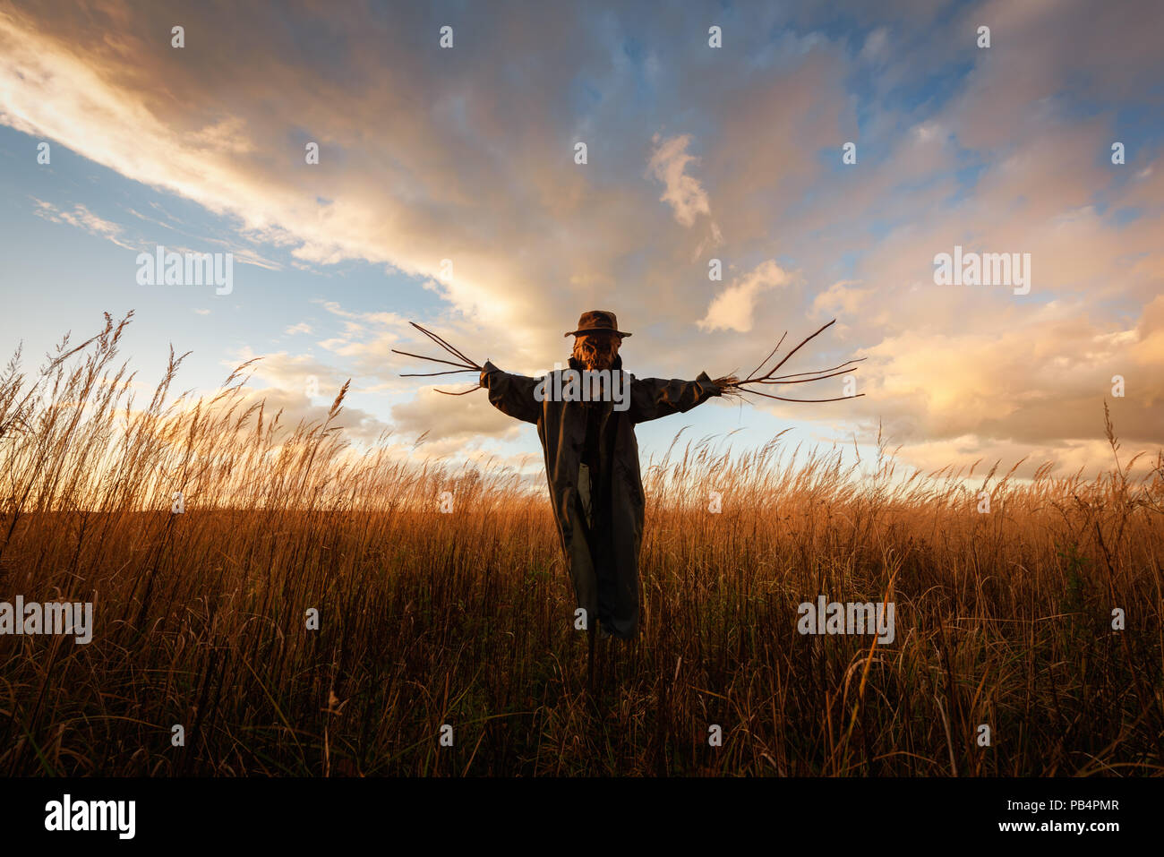 Scary scarecrow in a hat Stock Photo - Alamy