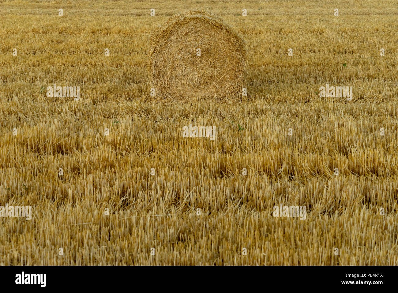 Hay balls hi-res stock photography and images - Alamy