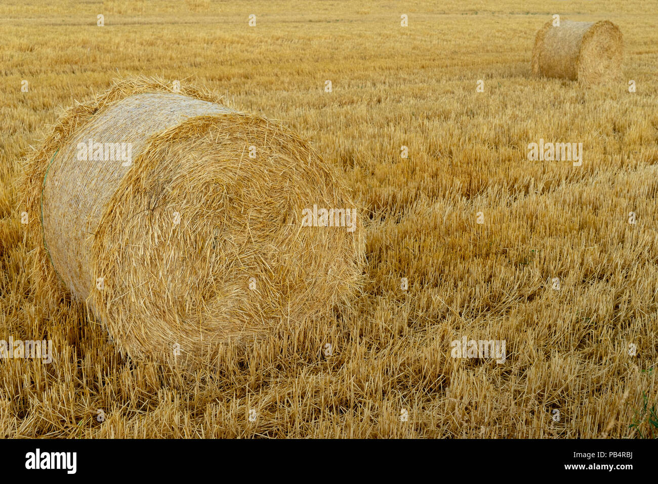 Round straw balls hi-res stock photography and images - Alamy