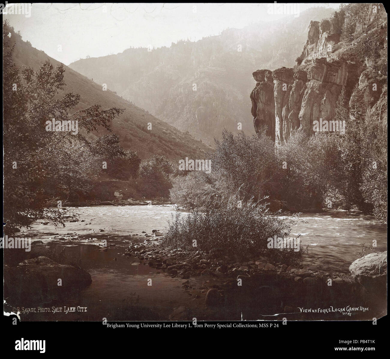 1809 View Nr. Forks, Logan Canon, Utah U.P.Ry. C.R. Savage, Photo, Salt ...