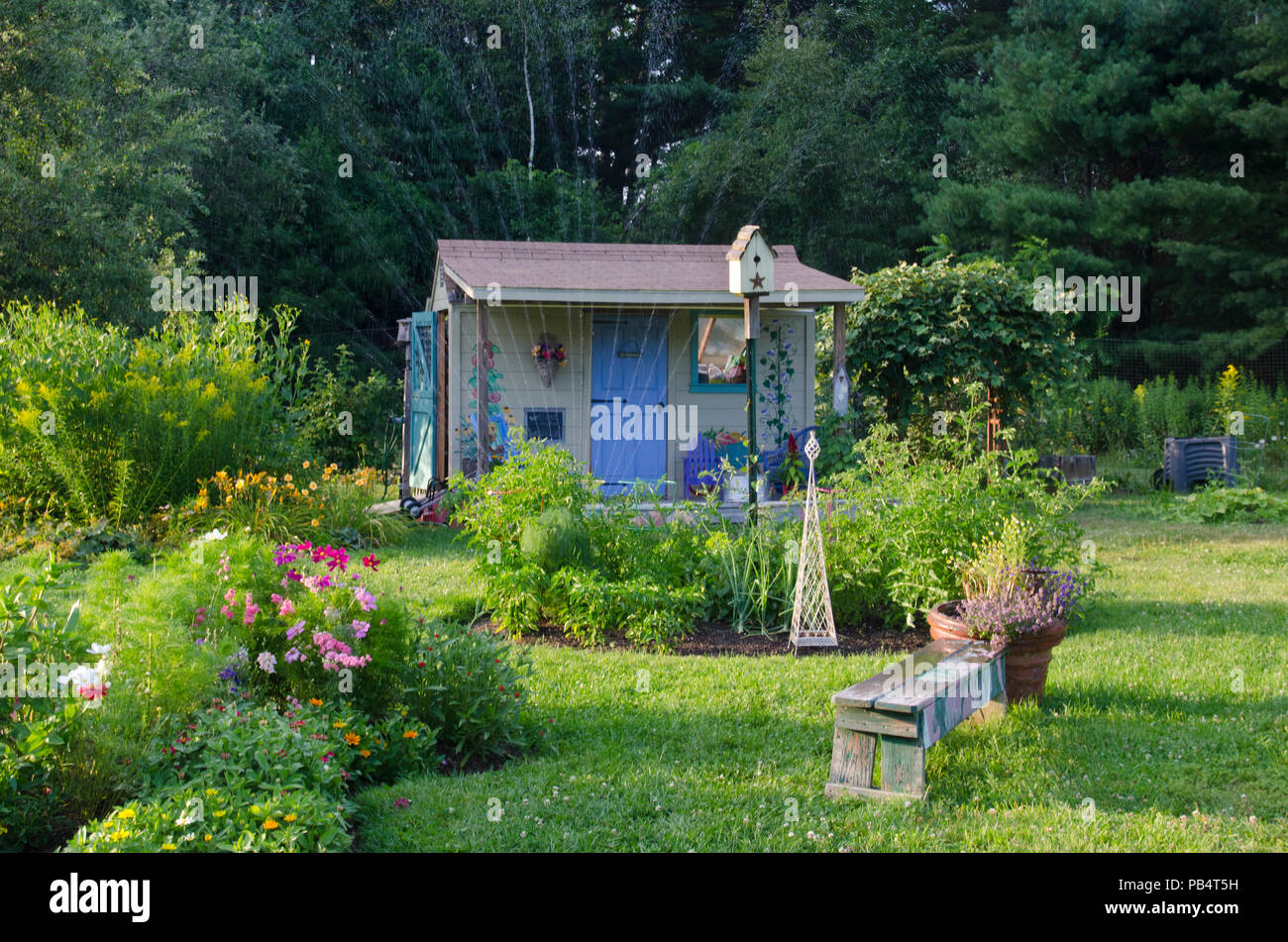 Sprinkler watering with drops of water shining in the community Garden ...