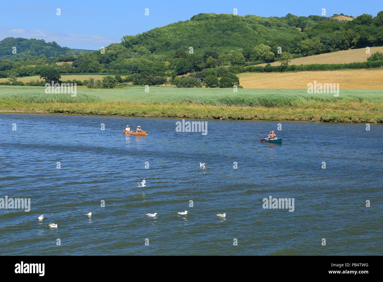 Kayakers on the river Axe tidal estuary near town of Seaton in East ...