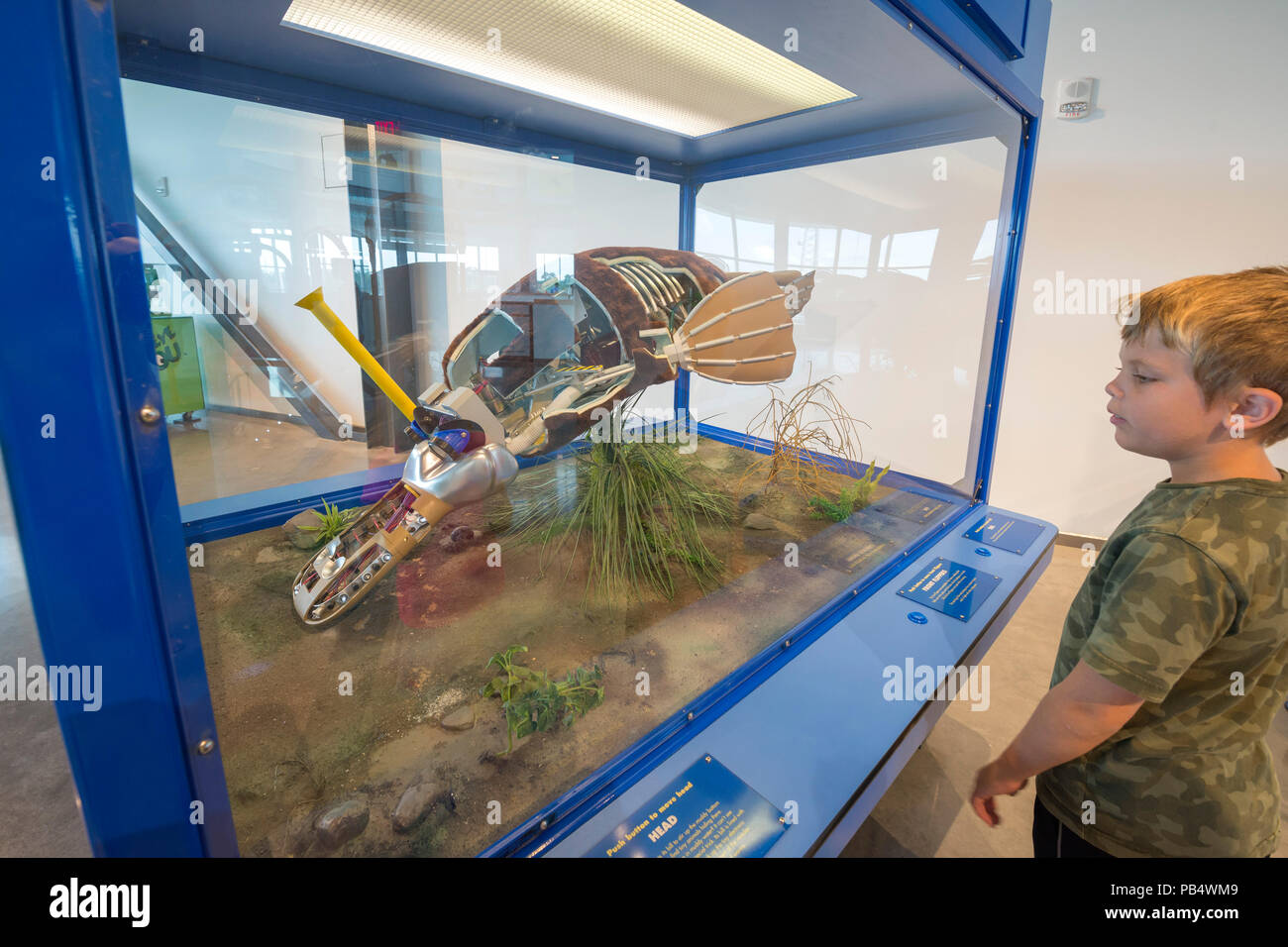 Creativity and Invention Museum in Gainesville, Florida Stock Photo - Alamy