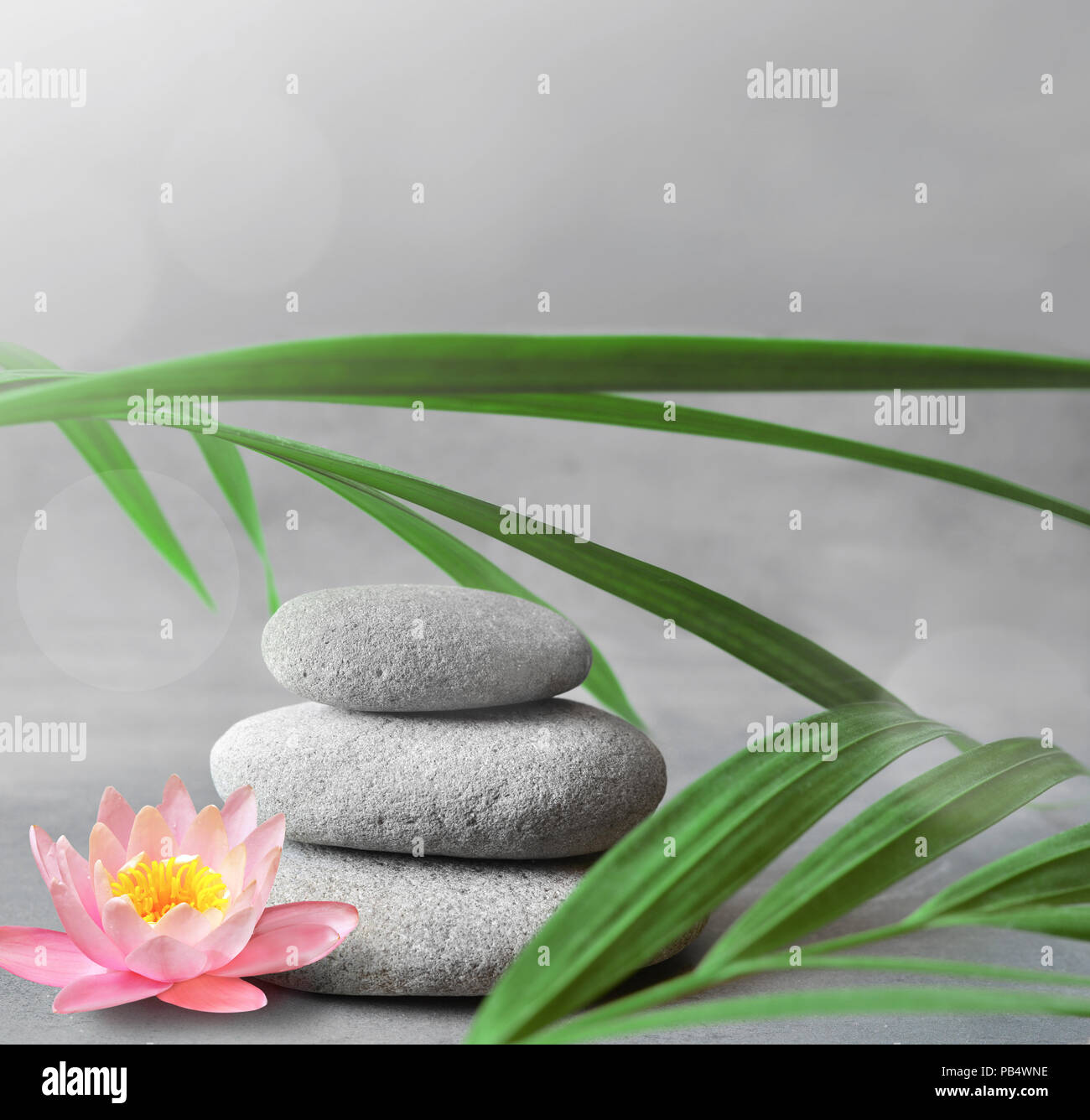 Stones balance, pink flower lotus and green palm leaf. Zen and spa ...