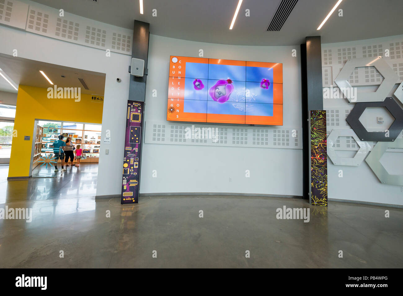 Museum of discovery and science florida hi-res stock photography and ...