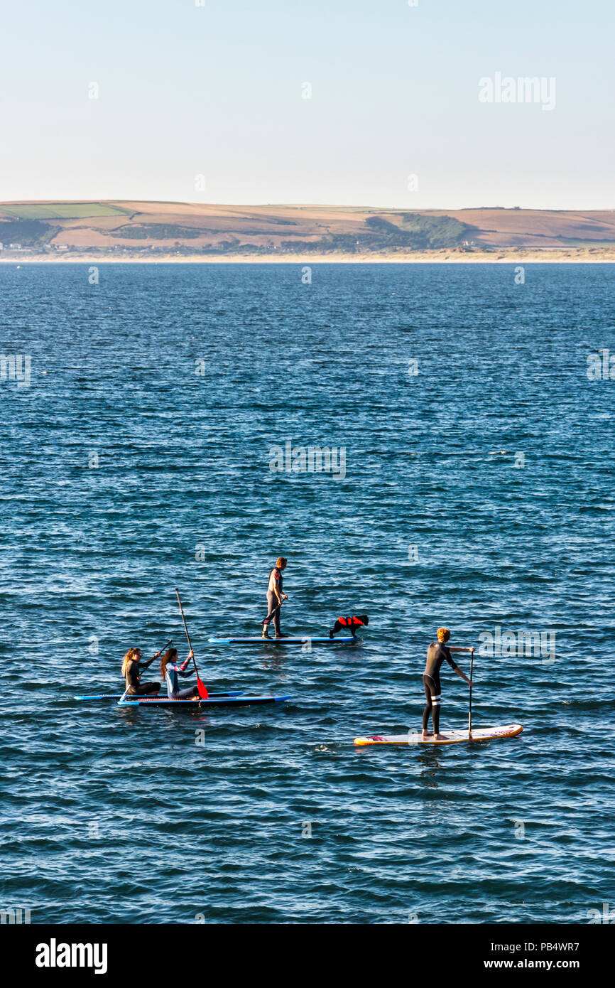 Paddleboarder paddleboarders hi-res stock photography and images - Alamy