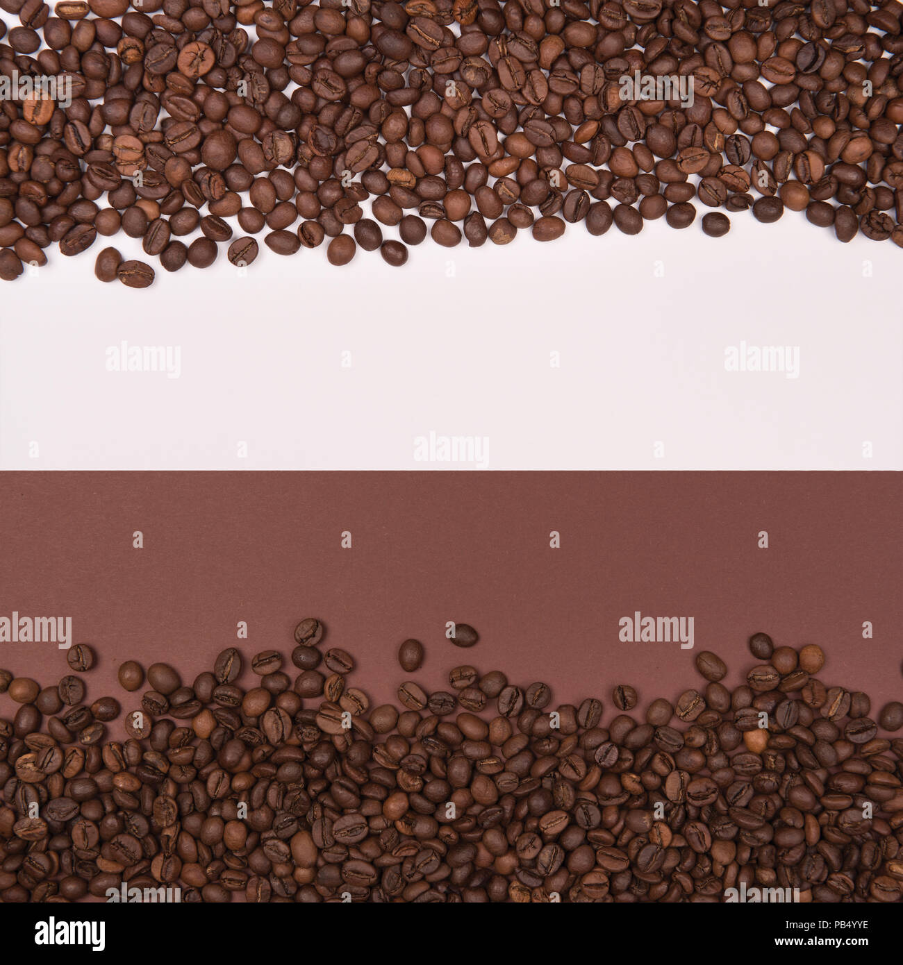 coffee seeds on a colored background, with space for text Stock Photo ...