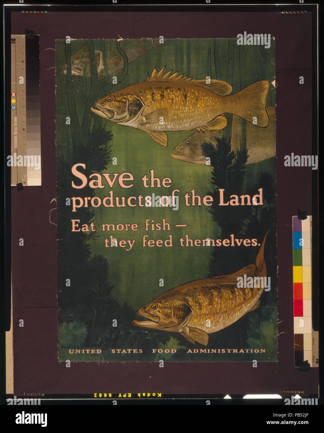 Eat themselves hi-res stock photography and images - Alamy