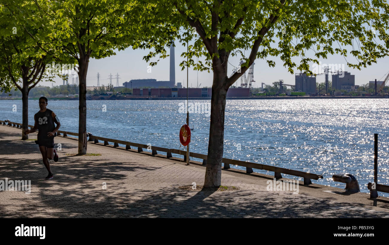 Canada ontario toronto harbourfront beach hi-res stock photography and ...