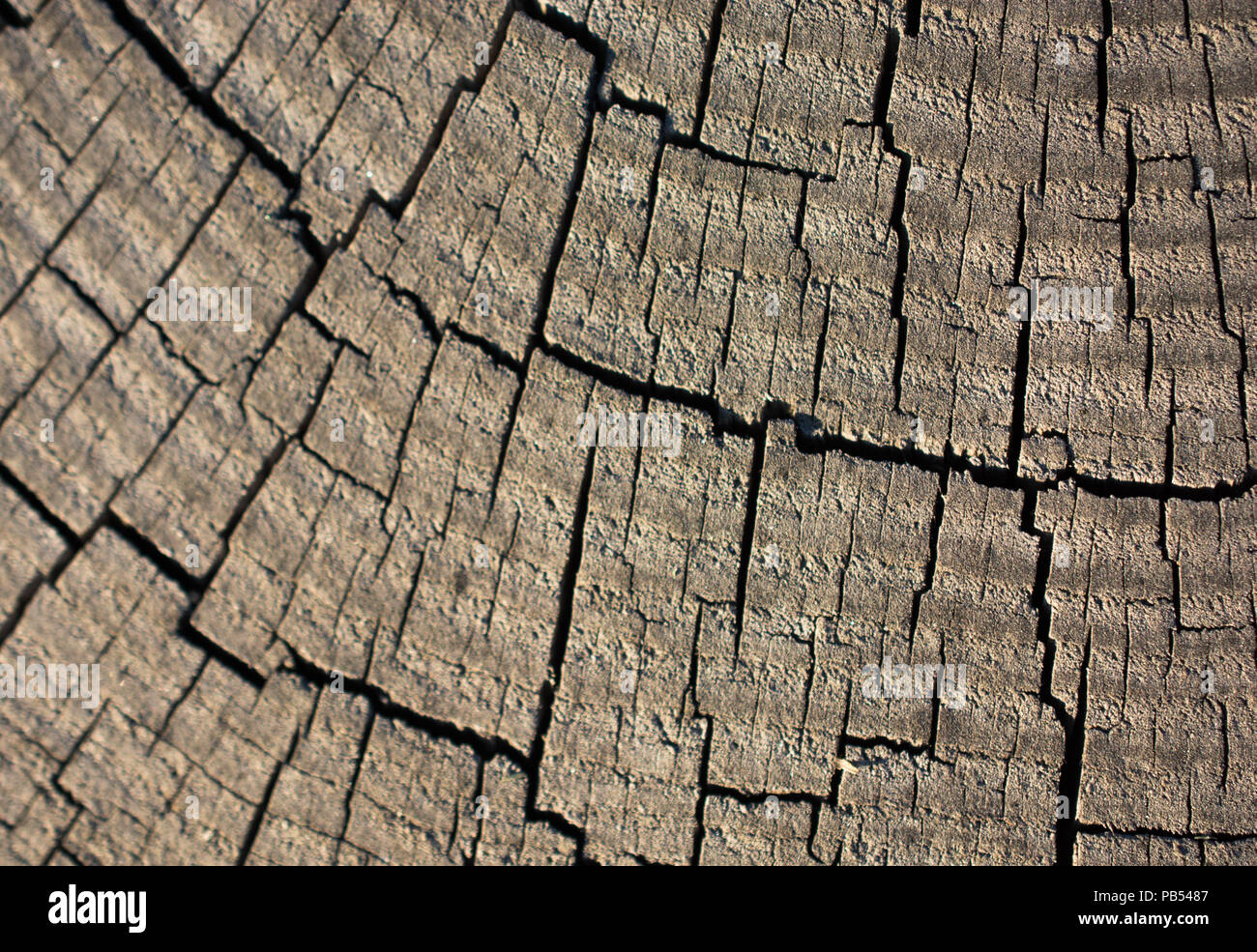 Wood texture with natural patterns as a background Stock Photo - Alamy
