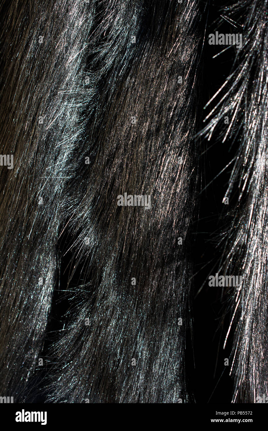 Decorative animal fur as a background texture Stock Photo - Alamy