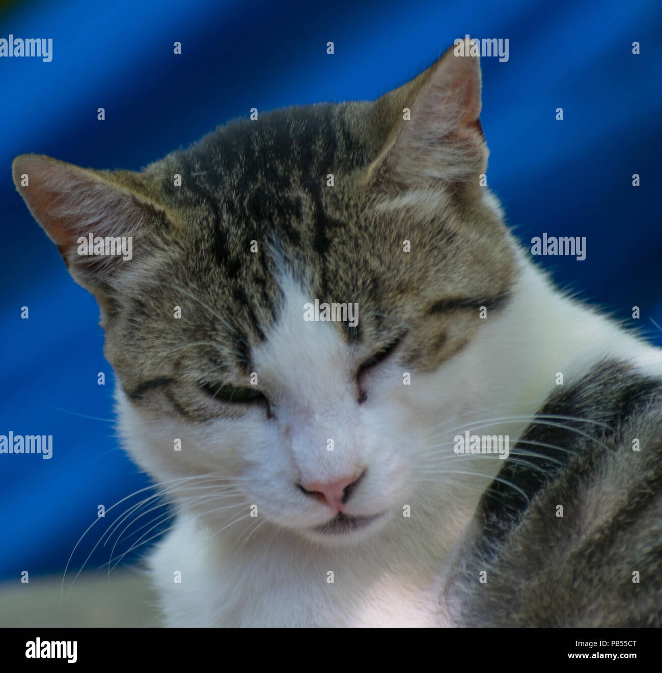 Snooze comfort hi-res stock photography and images - Alamy