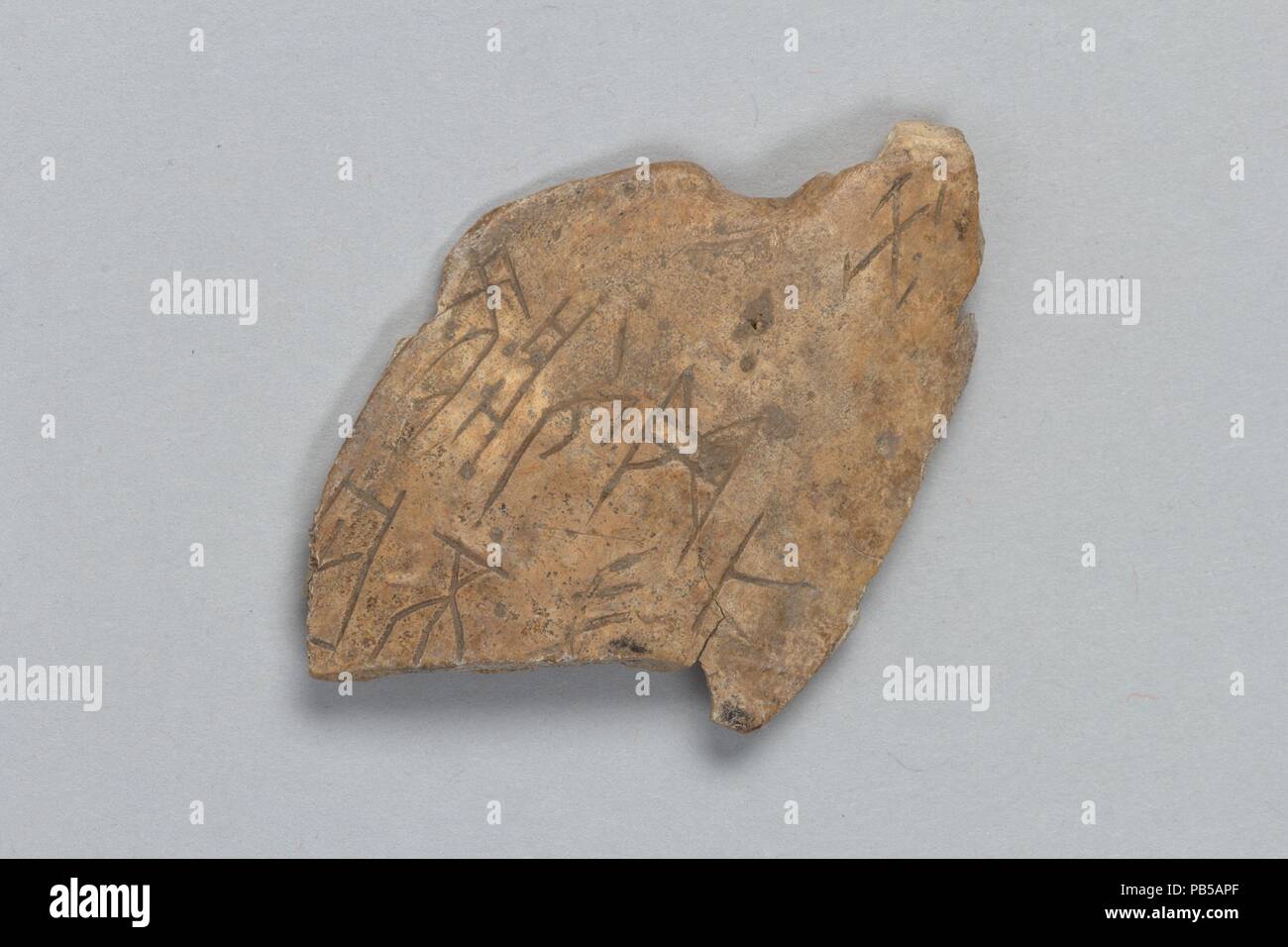 Oracle Bone Fragment. Culture: China. Dimensions: 2 1/8 x 1 1/2 in. (5. ...