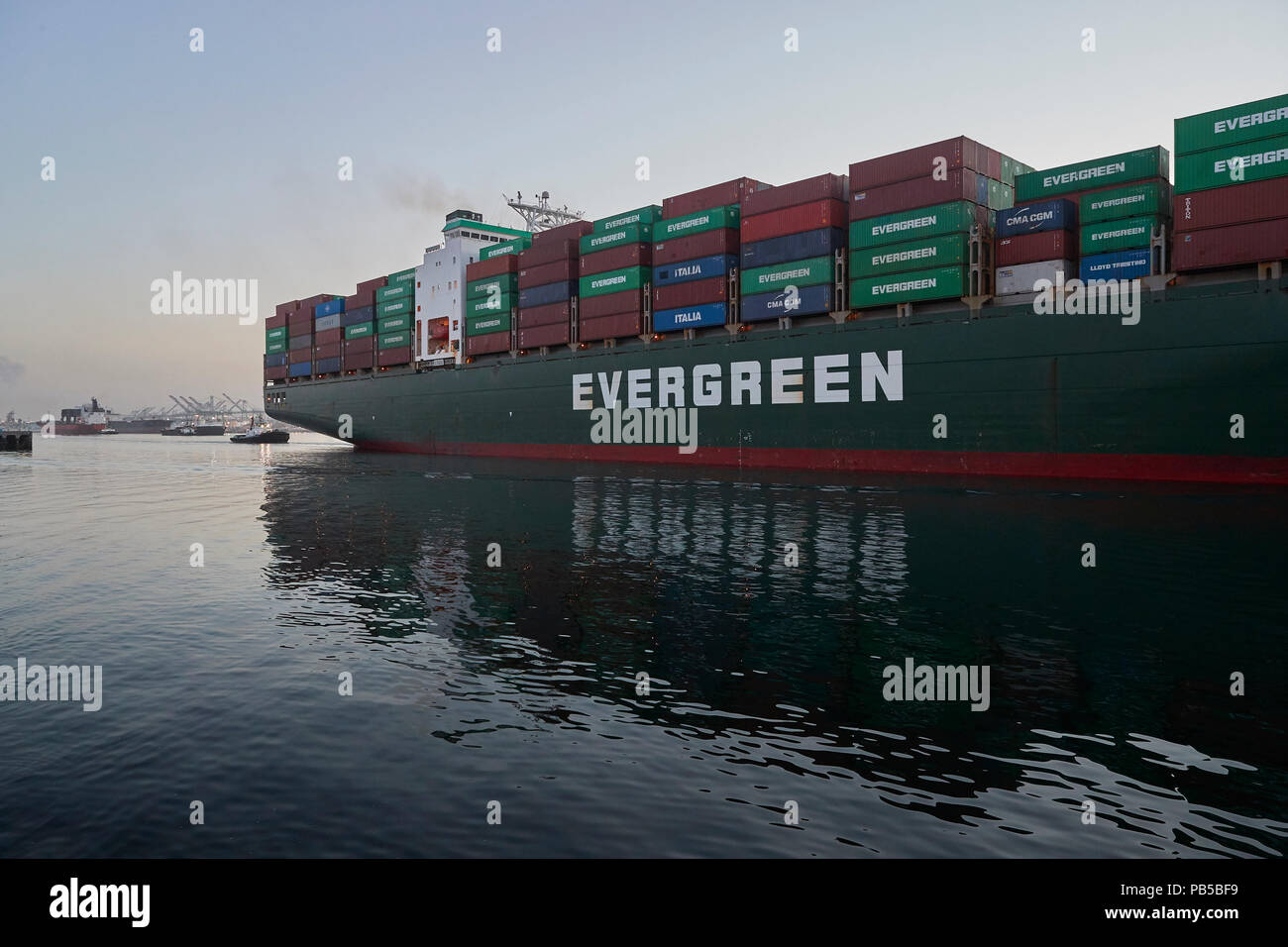 Evergreen container hi-res stock photography and images - Alamy