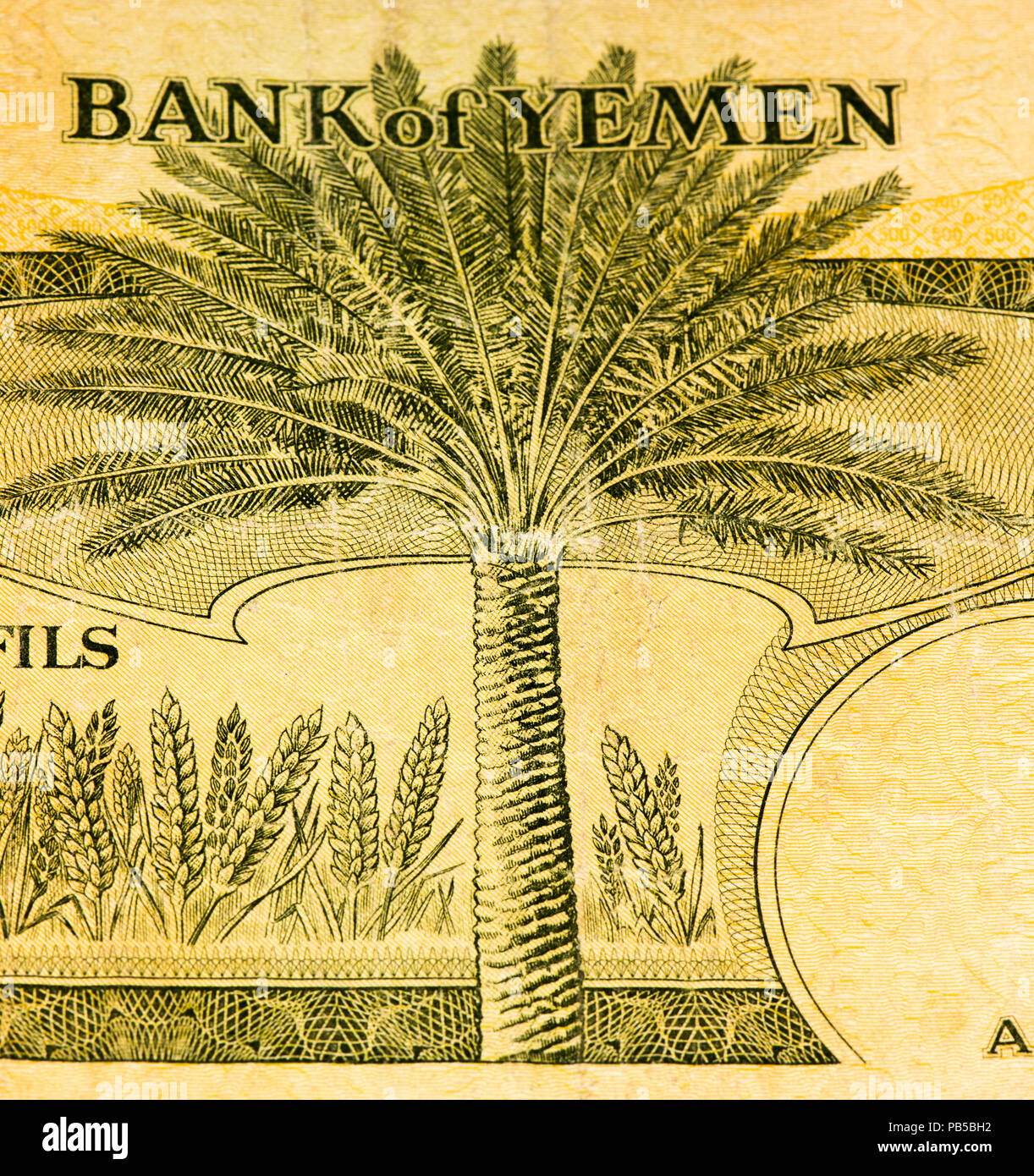 500 Yemeni rial bank note. Rial is the national currency of Yemen Stock ...