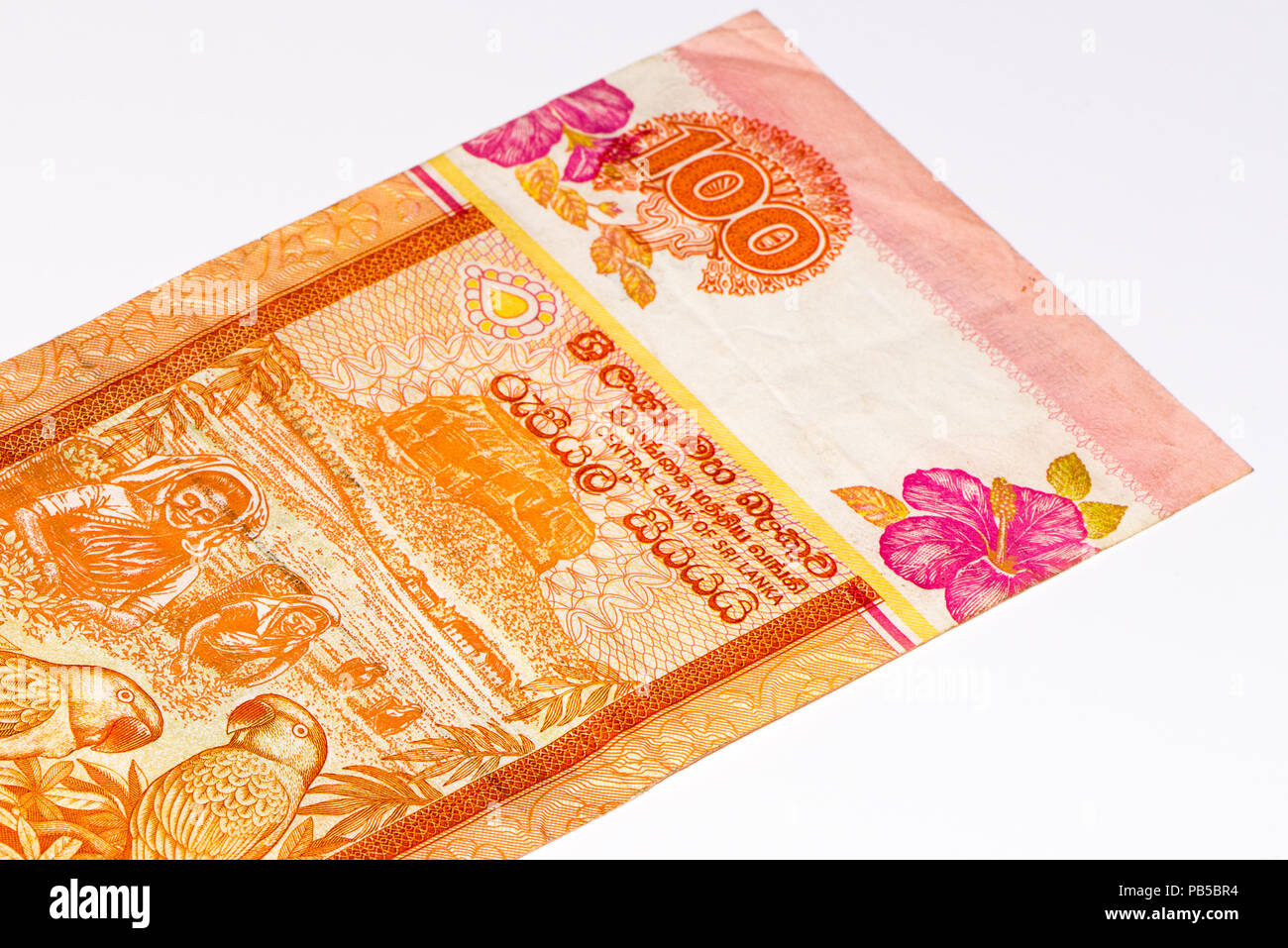 100 Sri Lankan rupee bank note. Rupees is the national currency of Sri ...