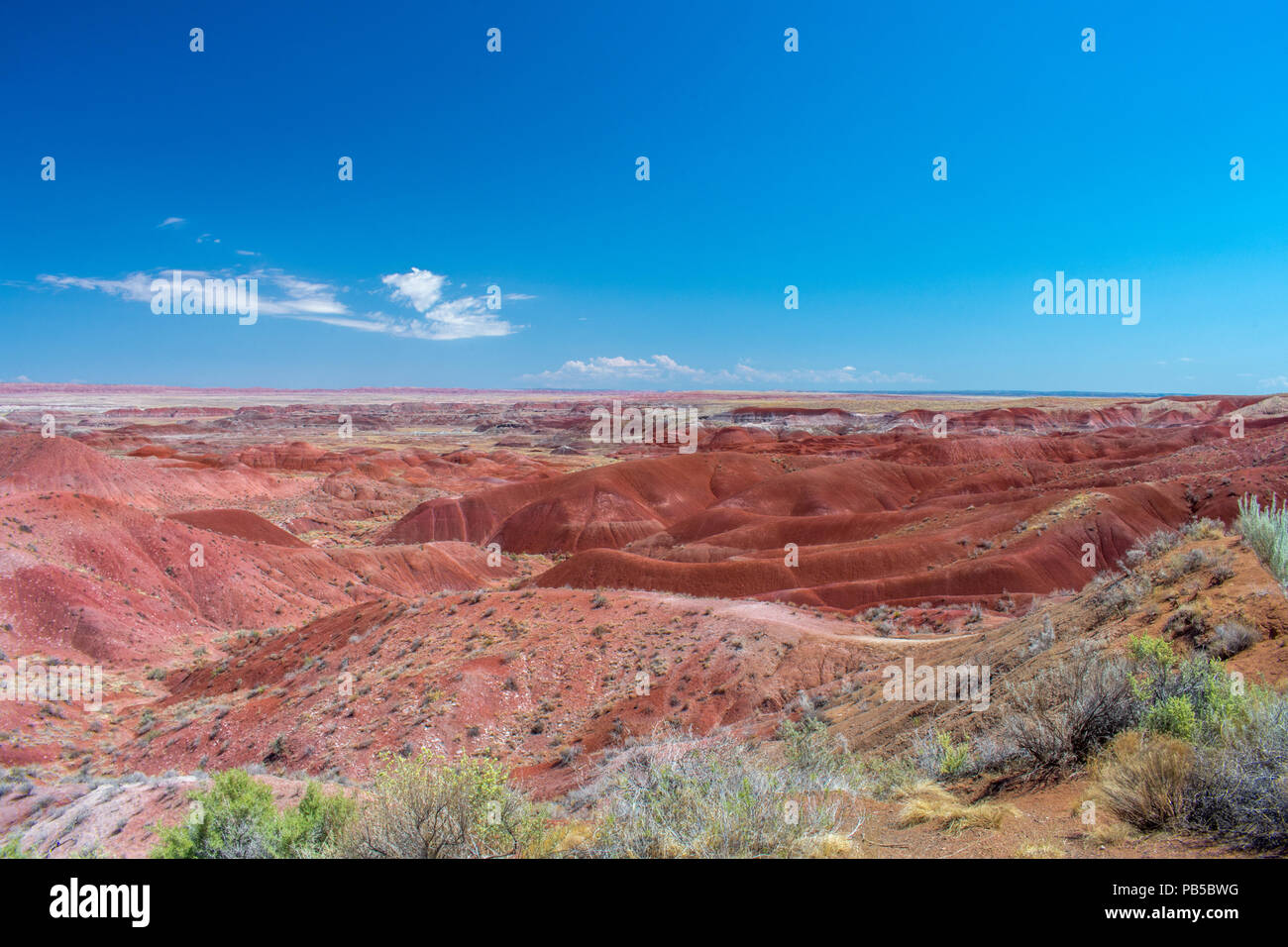 The painted desert overlook at Petrified Forest National Park, Arizona ...