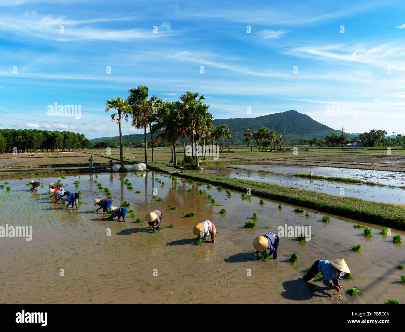 Vietnam daily life Stock Photo - Alamy