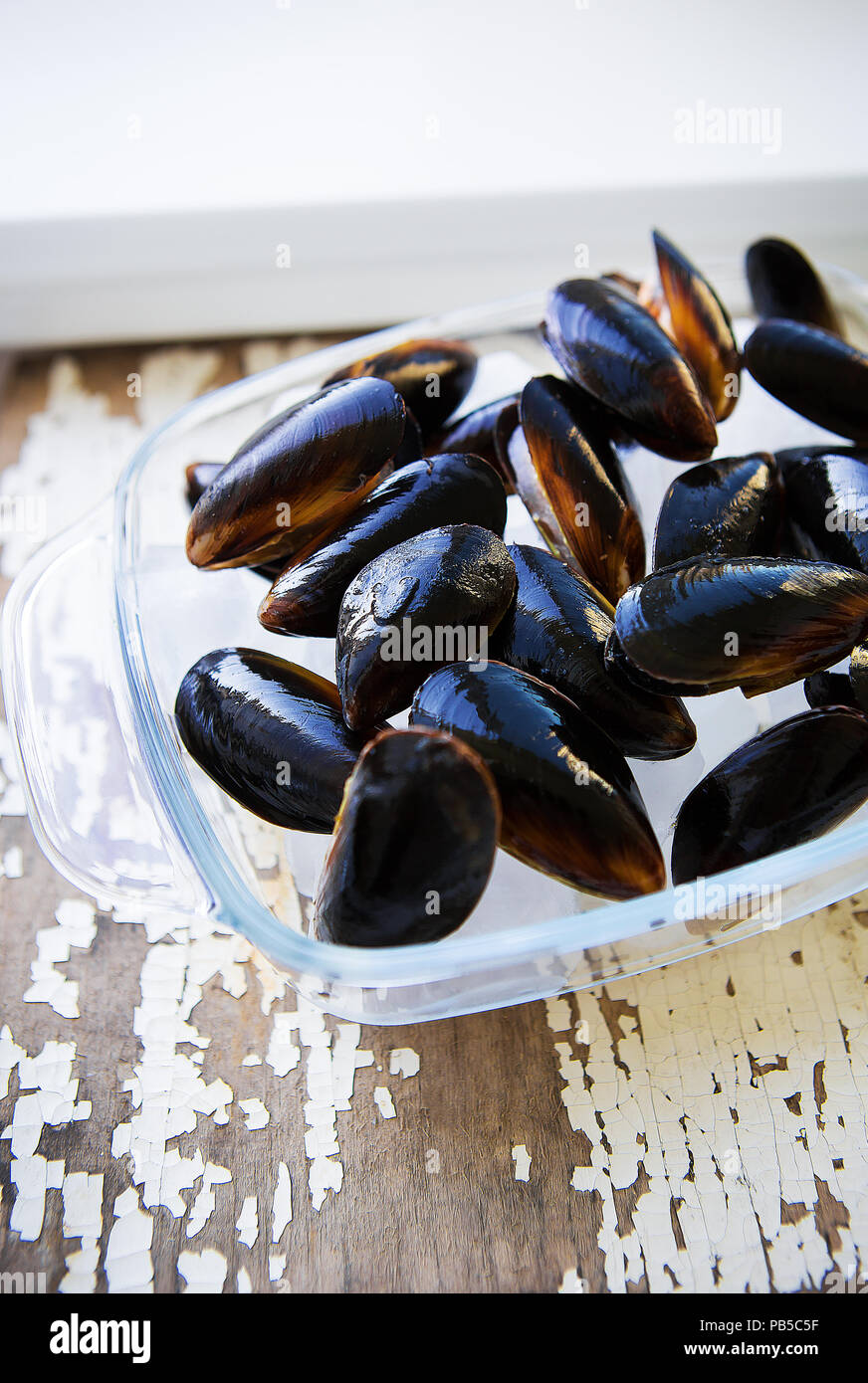 Freshwater muscle hi-res stock photography and images - Alamy