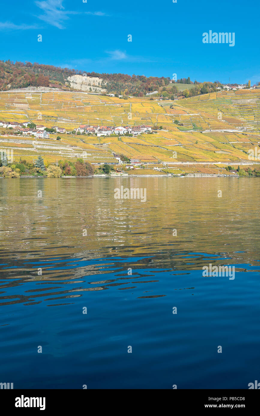 Switzerland, Vaud, Waadt, Lavaux UNESCO, vignoble, Weinberg, vineyard ...