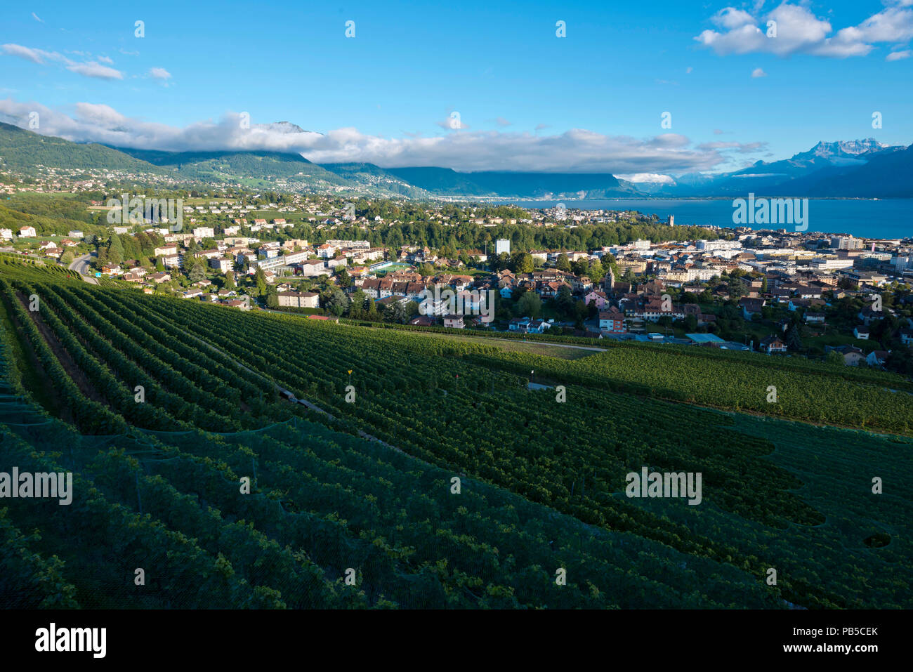 Duk10096974 007 hi-res stock photography and images - Alamy