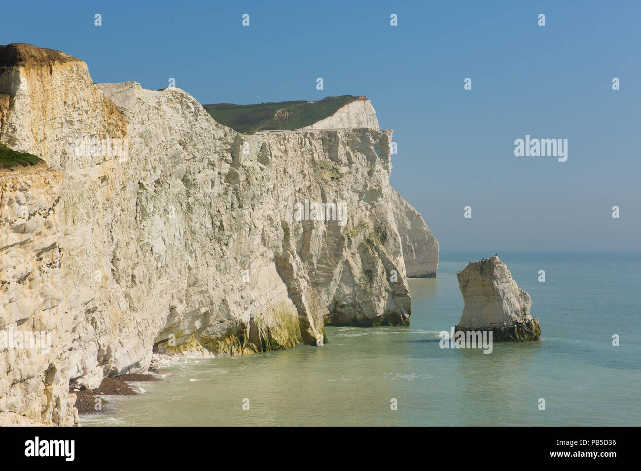 Beautiful white chalk cliff stack Seaford East Sussex England UK near ...