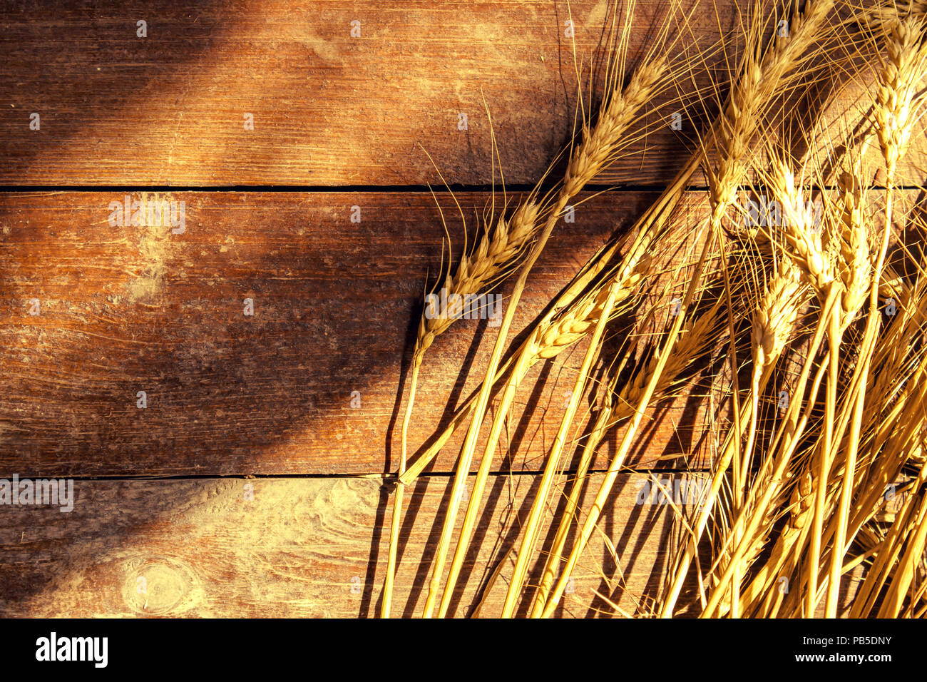Organic farm fall wood hi-res stock photography and images - Alamy