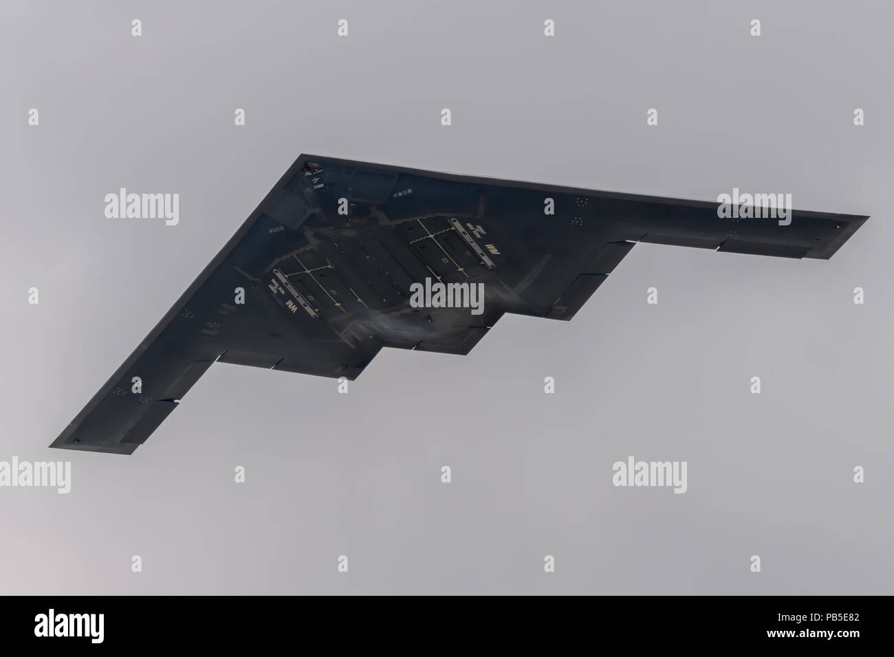 Stealth Eagle Tattoo