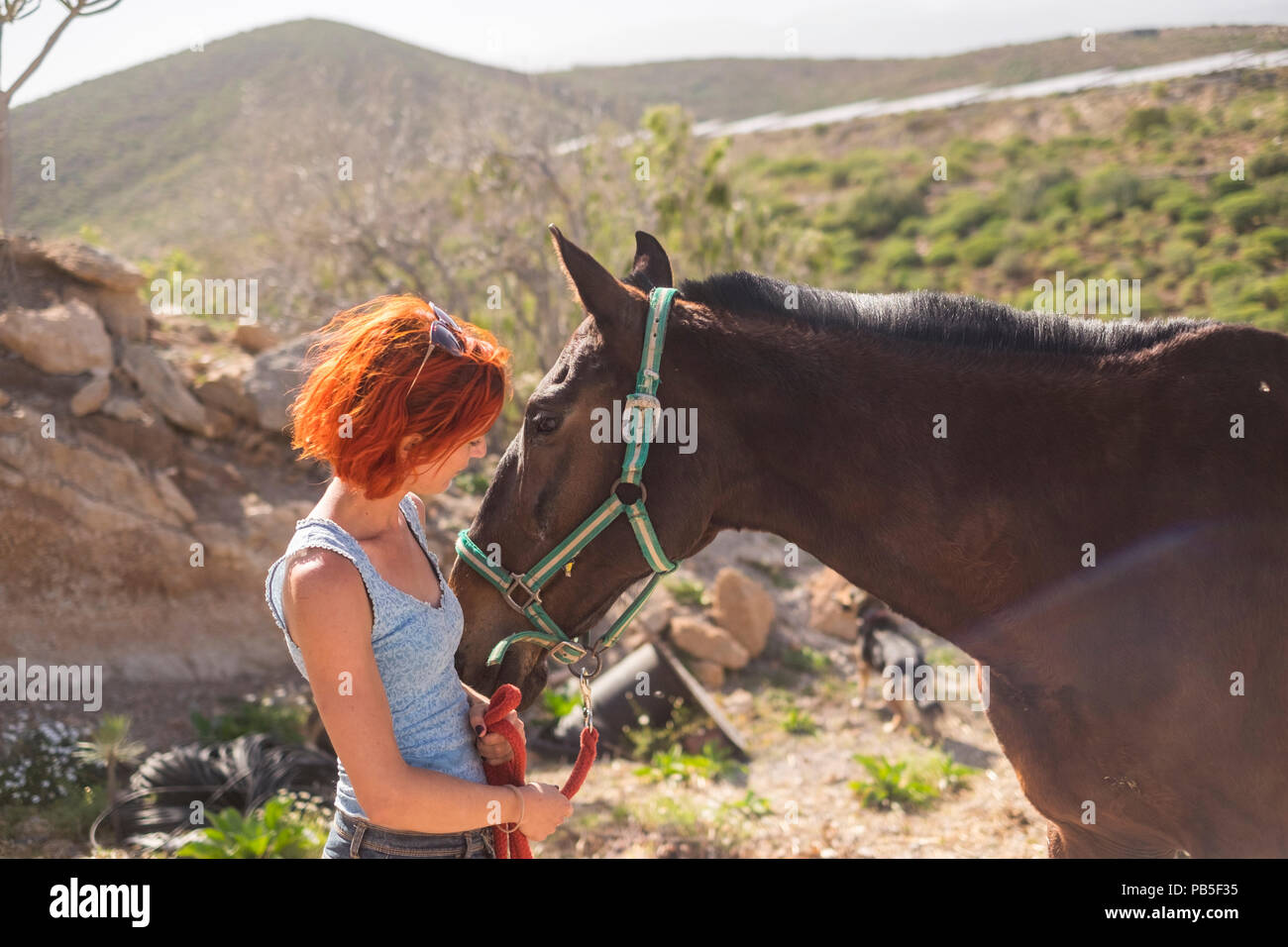 nice red hair alternative female have care of a beautiful horse ready ...