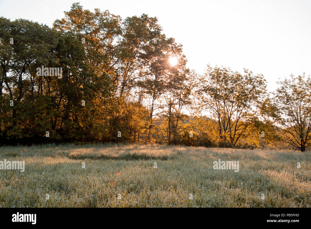 Morning landscape hi-res stock photography and images - Alamy