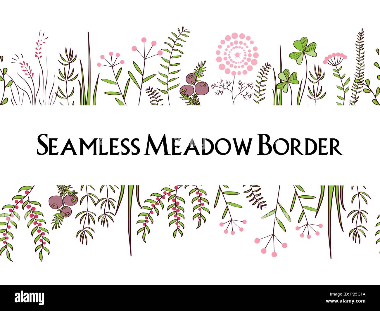 Meadow herbs seamless borders background. Floral illustration for ...