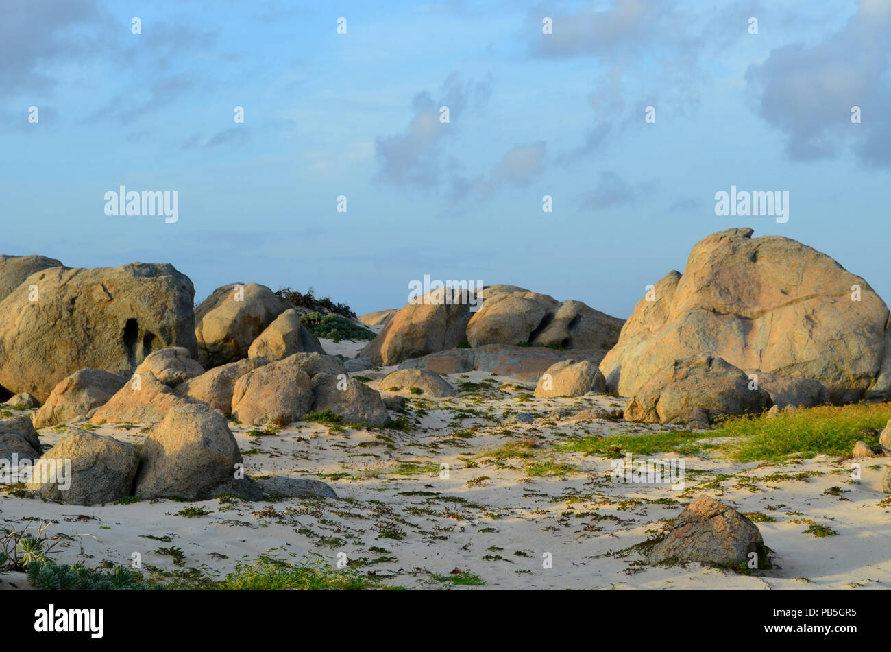 Rugged coastal dunes limestone hi-res stock photography and images - Alamy
