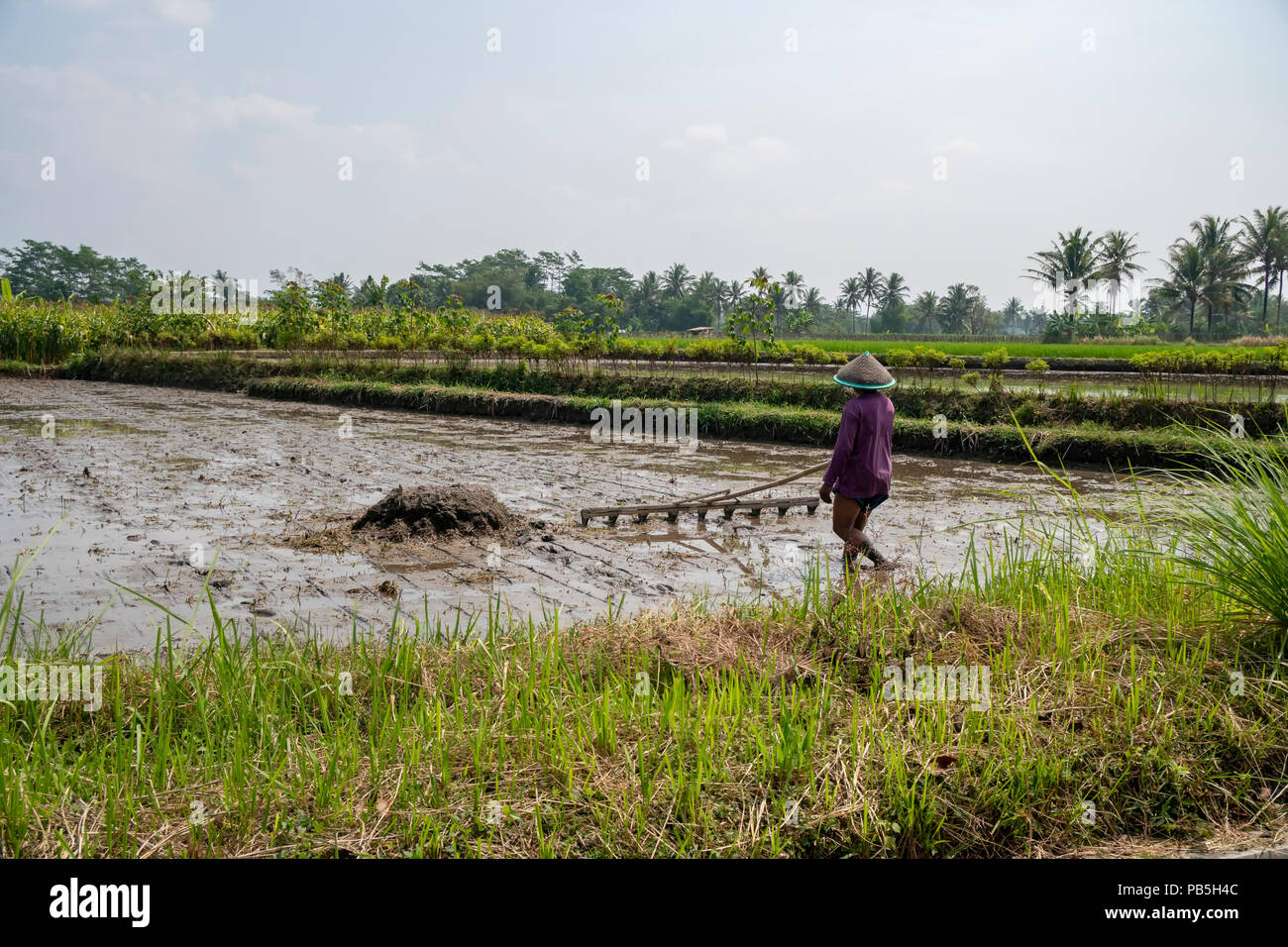 Balinese man cultivating the earth for harvest Stock Photo - Alamy