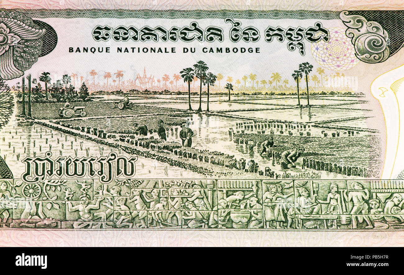 Cambodian money 500 riel currency hi-res stock photography and images ...