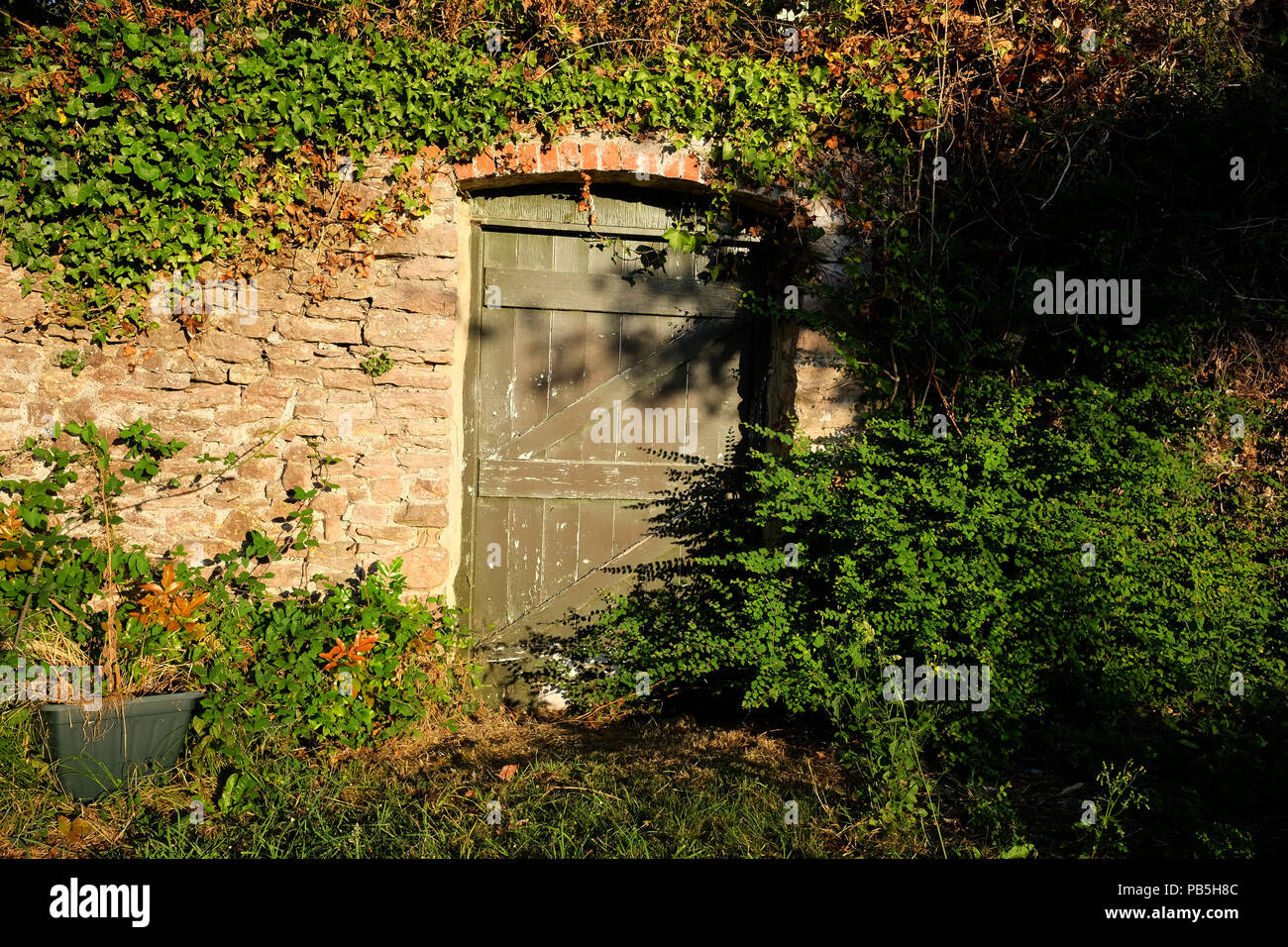 Garden overgrown door hi-res stock photography and images - Alamy