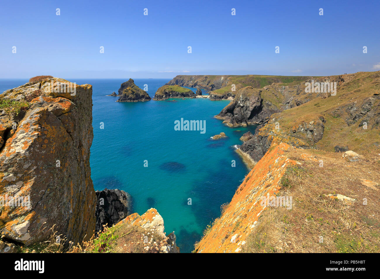 The sea stacks off Kynance Cove from the South West Coast Path on ...
