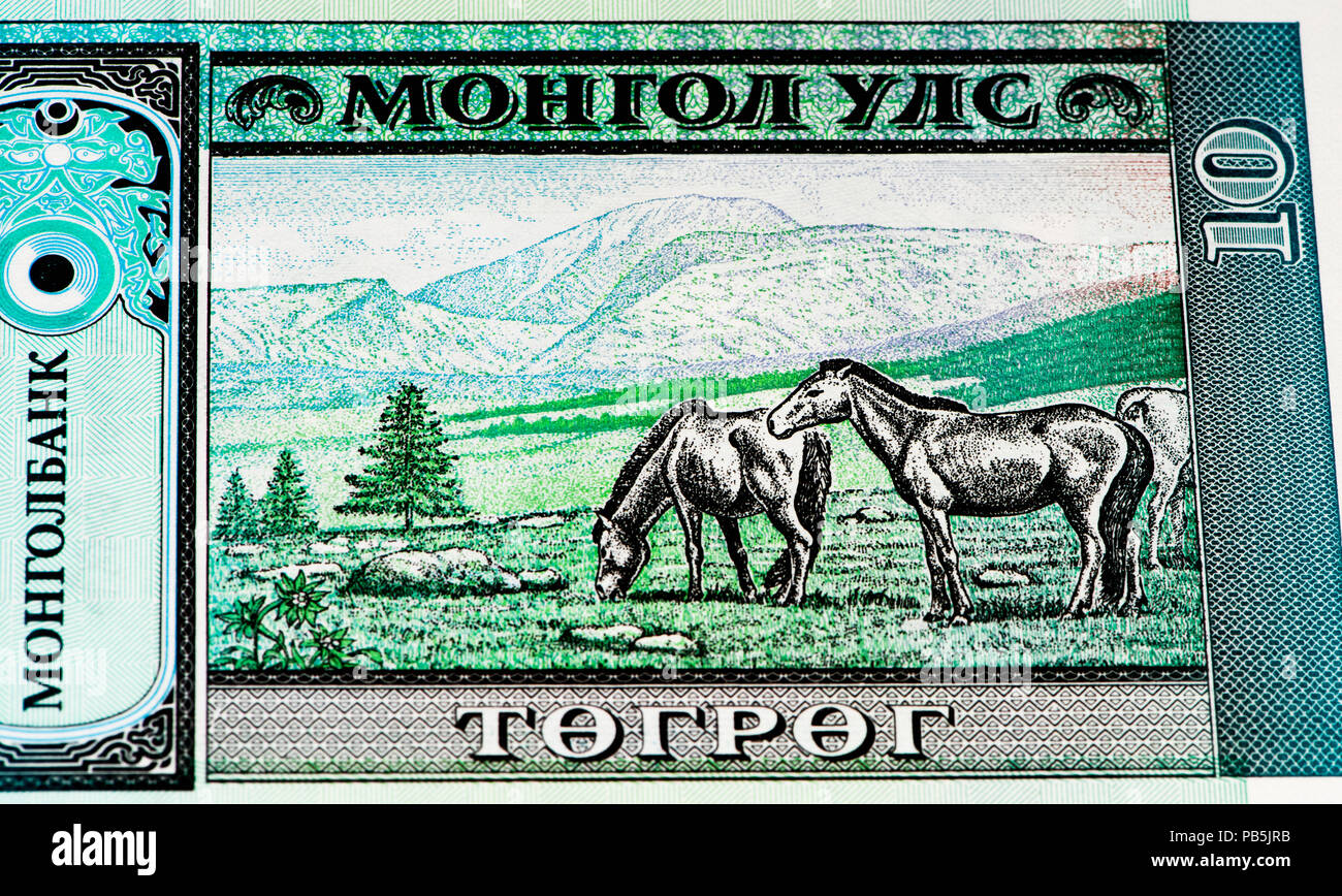 10 togrog bank note. Togrog is the national currency of Mongolia Stock ...