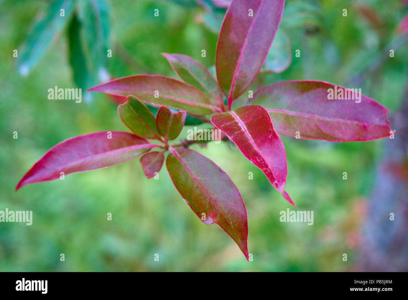 Changing seasons hi-res stock photography and images - Alamy
