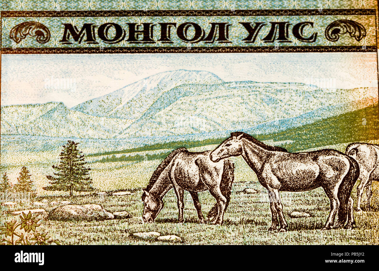 50 togrog bank note. Togrog is the national currency of Mongolia Stock ...