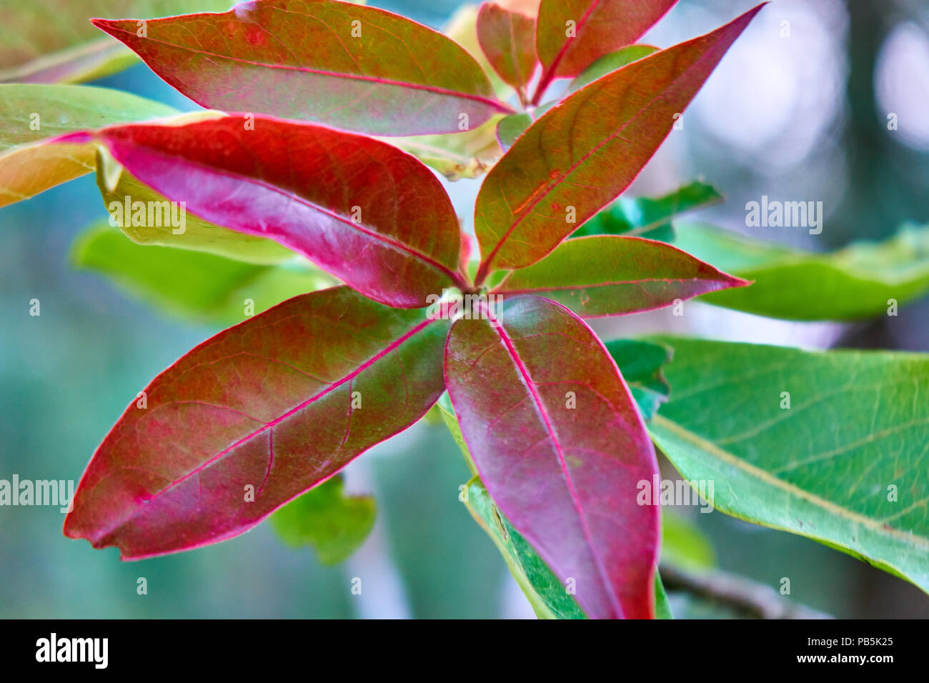 Changing seasons hi-res stock photography and images - Alamy