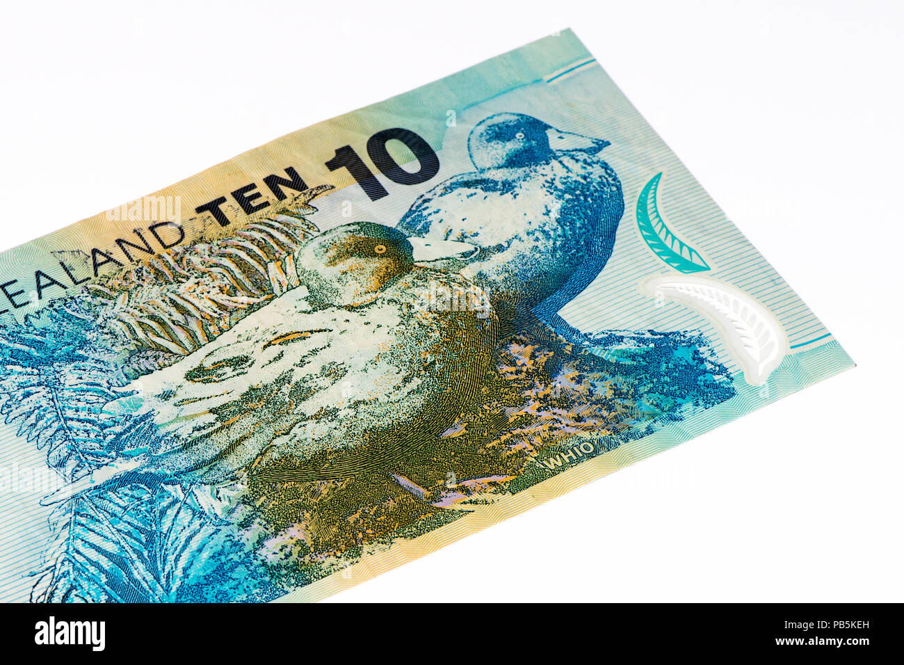 10 New Zealand dollar bank note. New Zealender dollar is the national ...