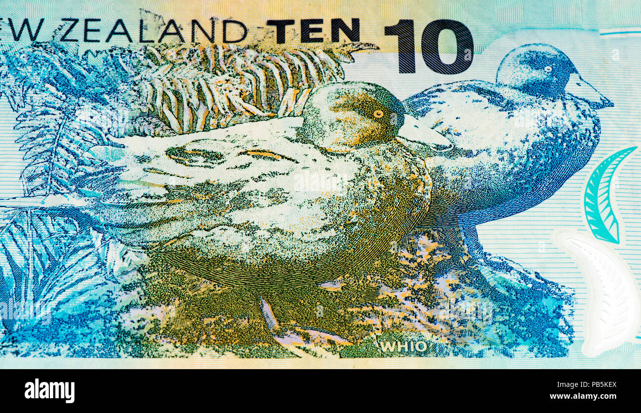 10 New Zealand dollar bank note. New Zealender dollar is the national ...