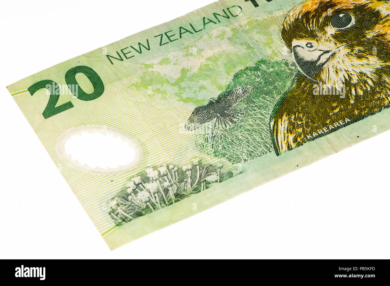 20 New Zealand dollar bank note. New Zealender dollar is the national ...