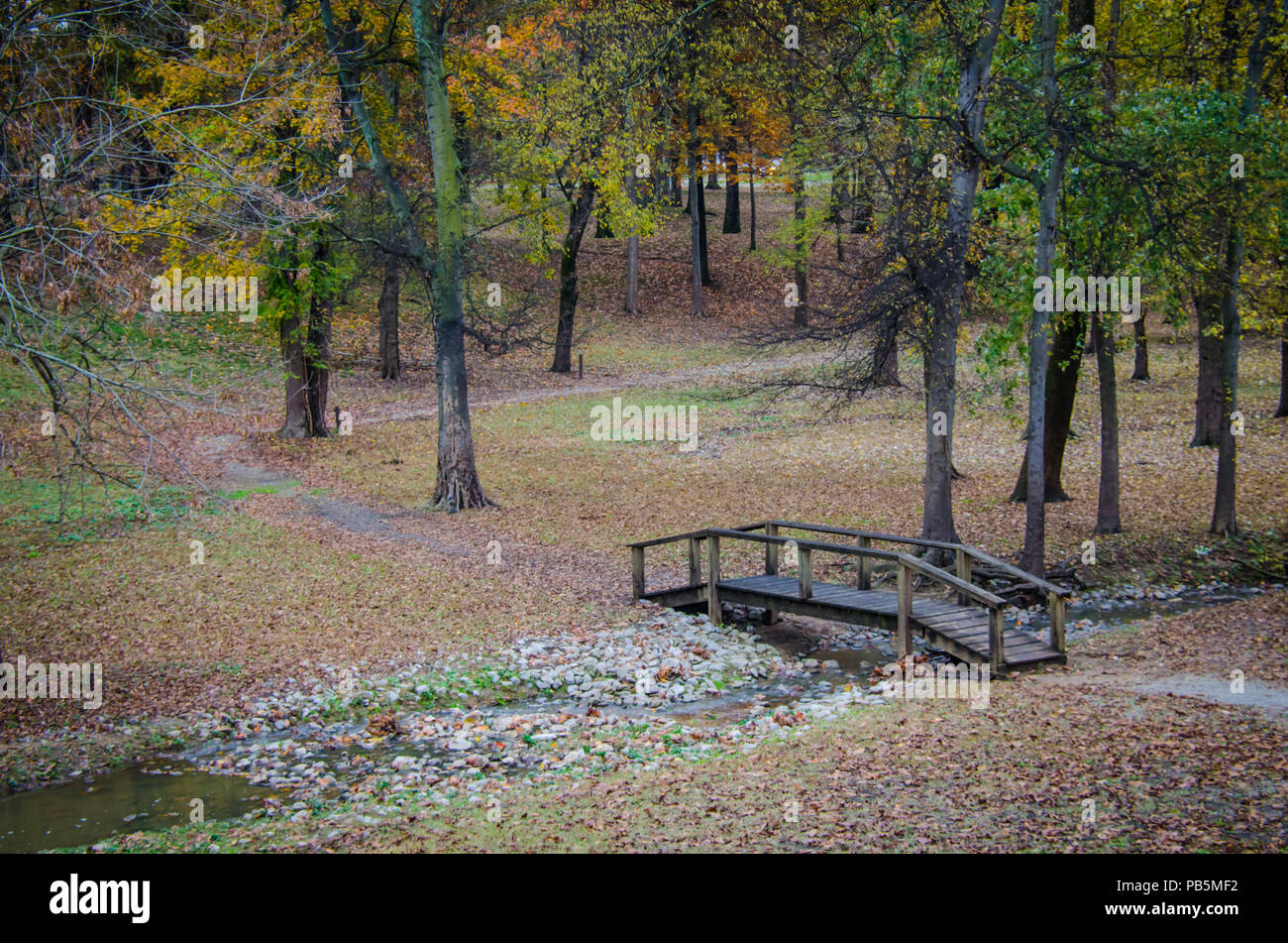Walking trail with foot bridge over stream. Beautiful trail through ...