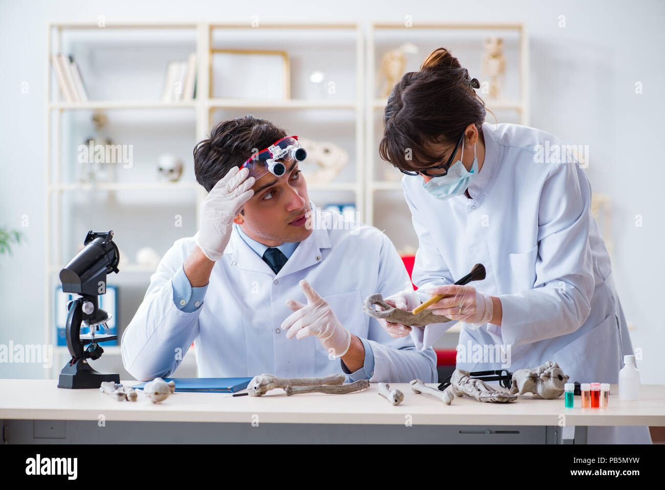Professor studying human skeleton in lab Stock Photo - Alamy