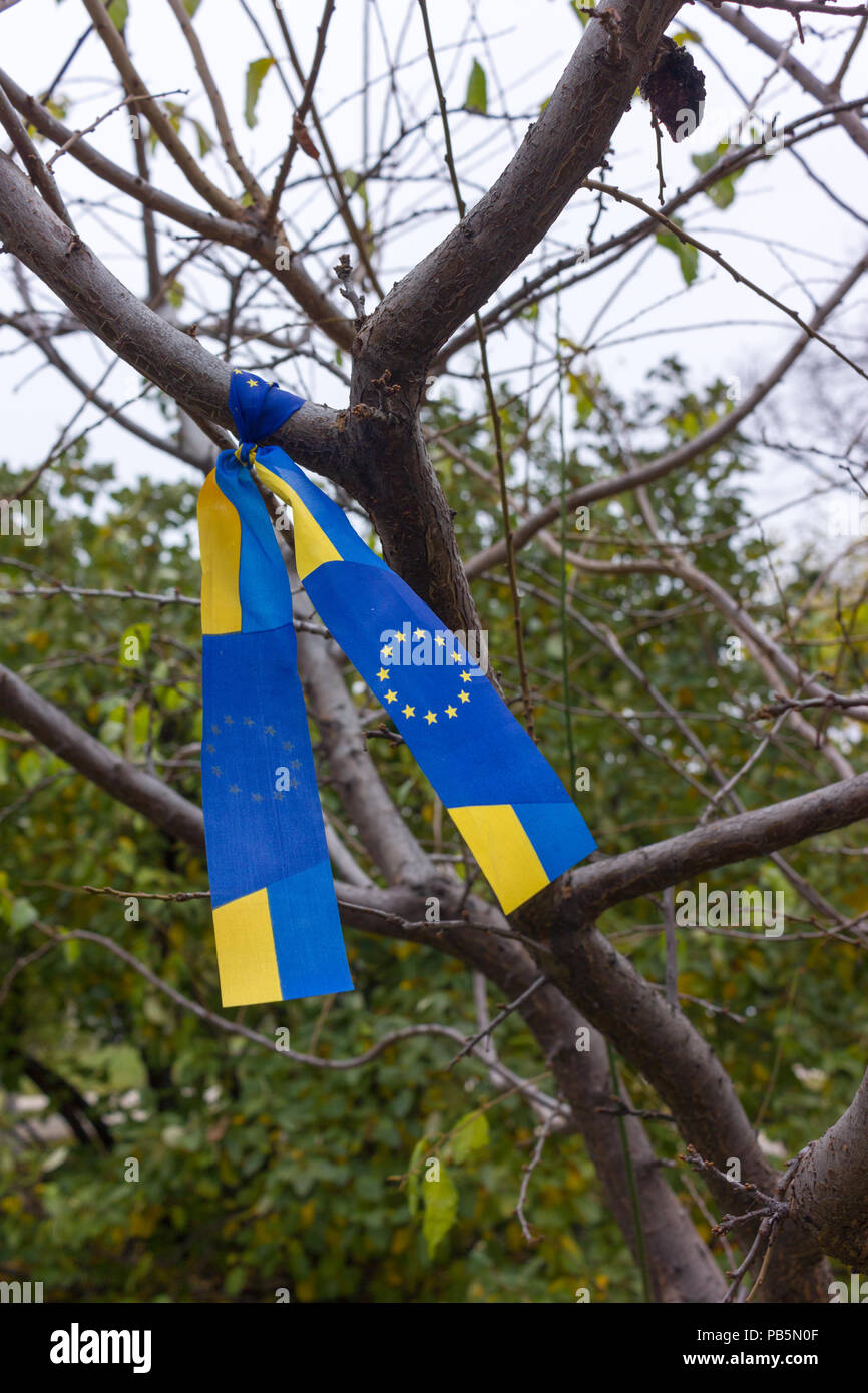 Blue and yellow EU-Ukraine ribbon a tree in Kyiv Stock Photo - Alamy