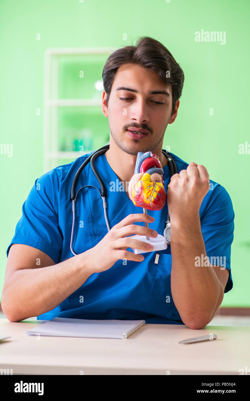 Doctor student explaining heart problems Stock Photo - Alamy