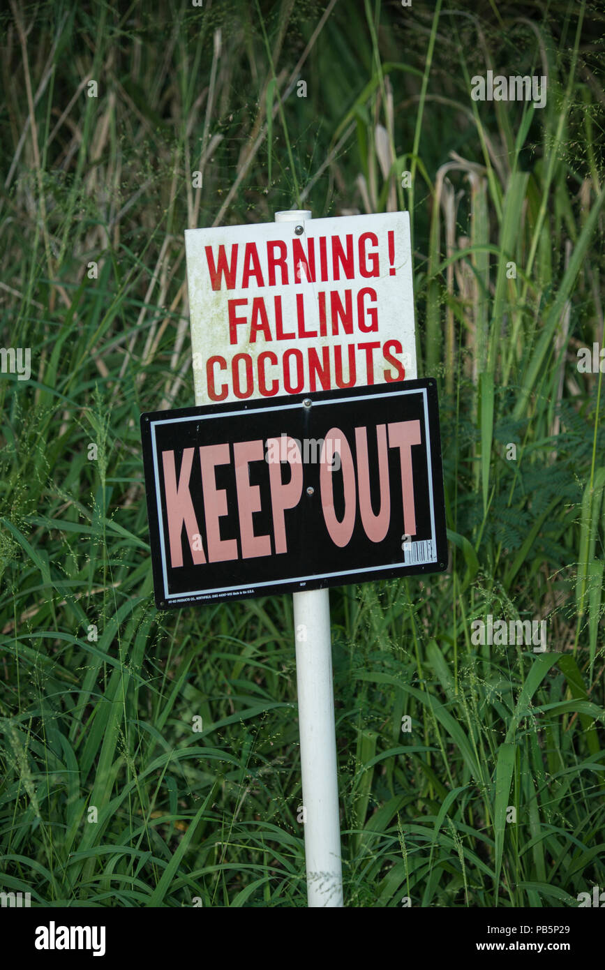 Danger falling coconuts hi-res stock photography and images - Alamy