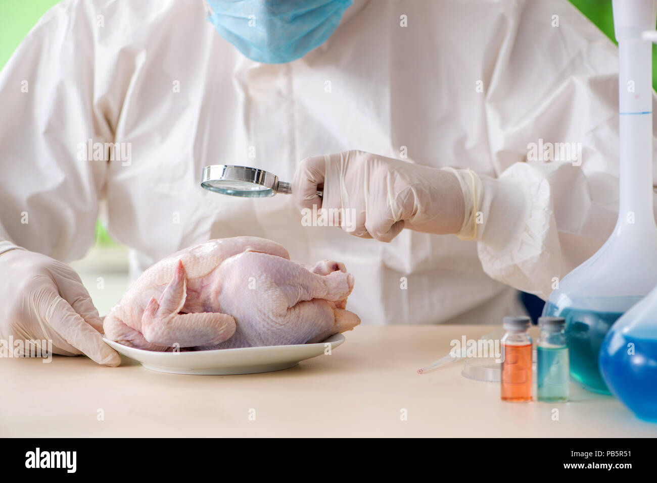 Lab assistant testing GMO chicken Stock Photo - Alamy