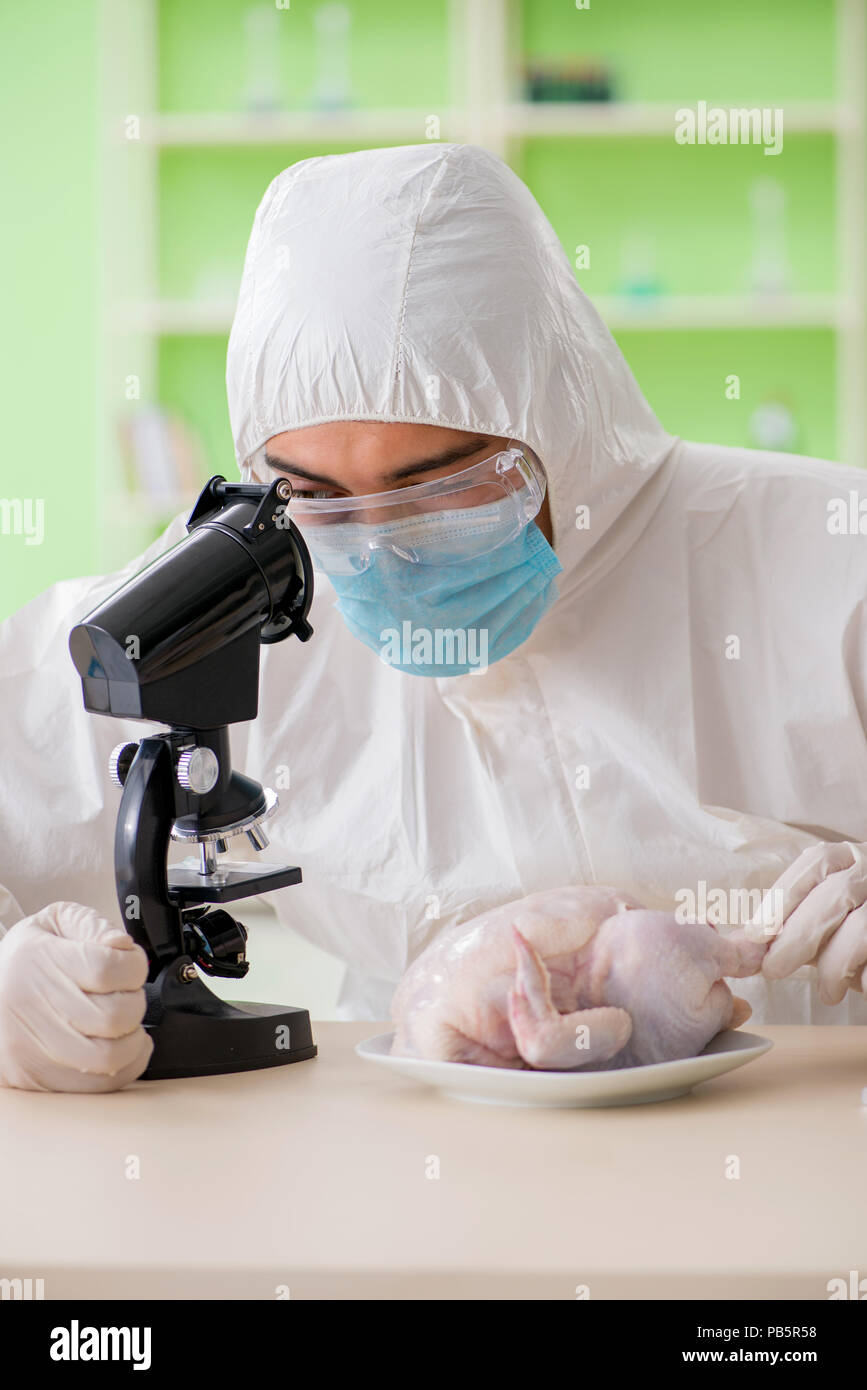 Genetic engineering chicken hi-res stock photography and images - Alamy